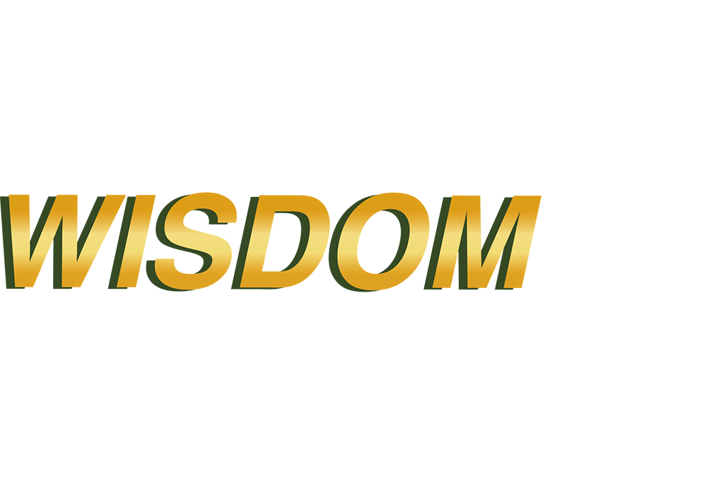 Contact Wisdom| Wisdom Protective| Security